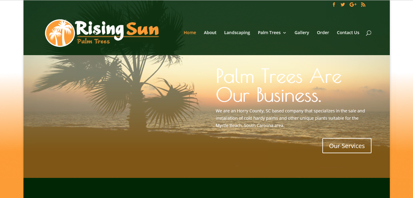 risun - Carolina Web Pro